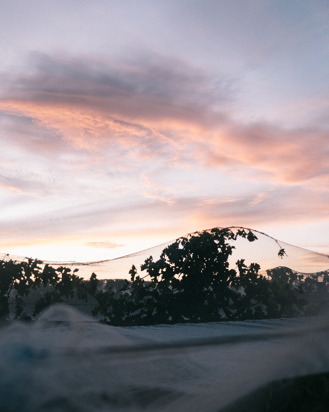 CHEMO CHAIR STORIES 4. Lesson Learned Young – STOKE WINES